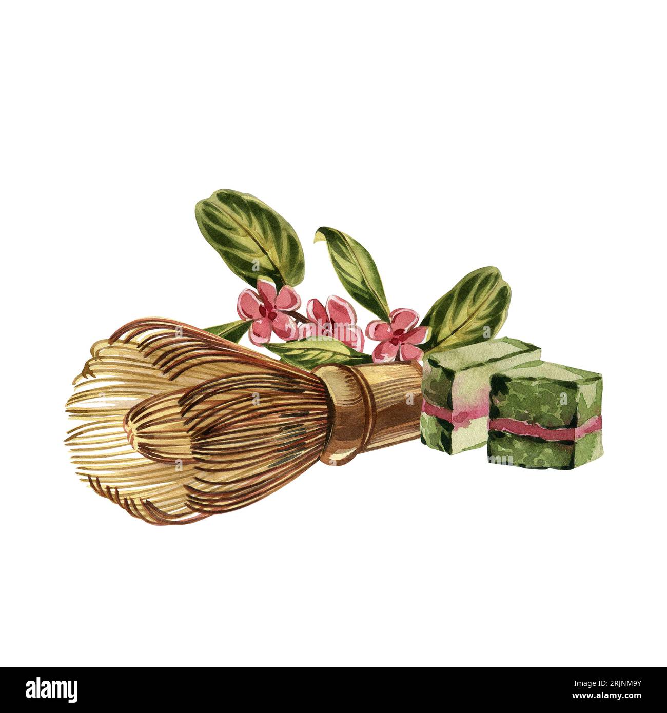 Branch tea plant, pressed tea squares, bamboo whisk isolated on white ...