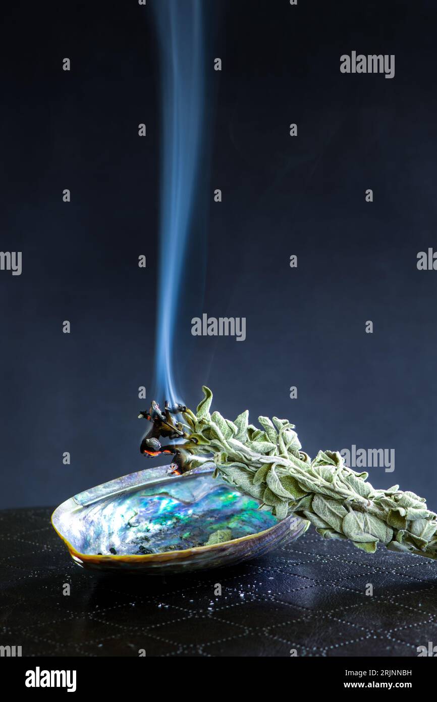 Abalone texture hi-res stock photography and images - Alamy