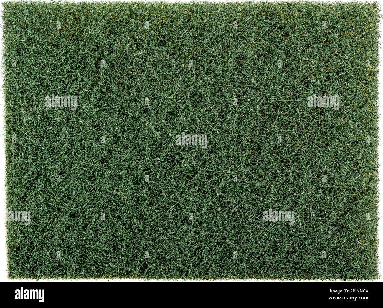 A top view of a green sponge dish texture Stock Photo - Alamy