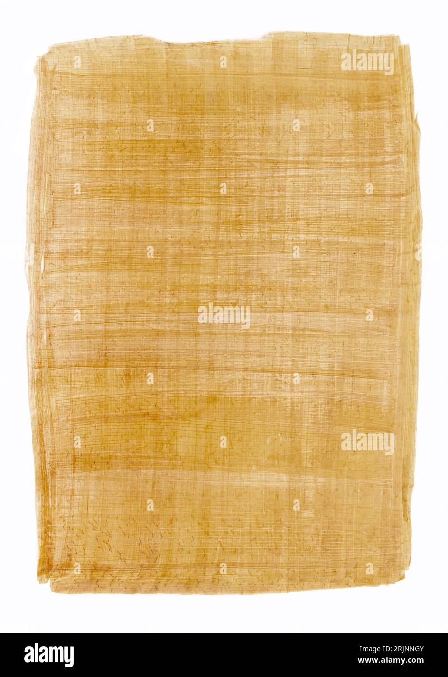 A vertical closeup of clean and empty papyrus paper on white background ...