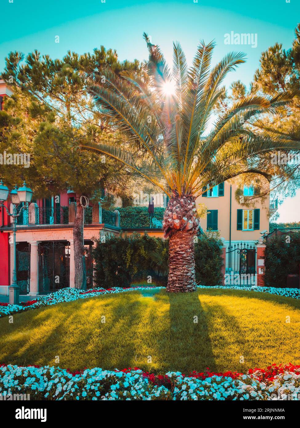 A scenic view of sunlight through palm trees in Limone sul Garda ...