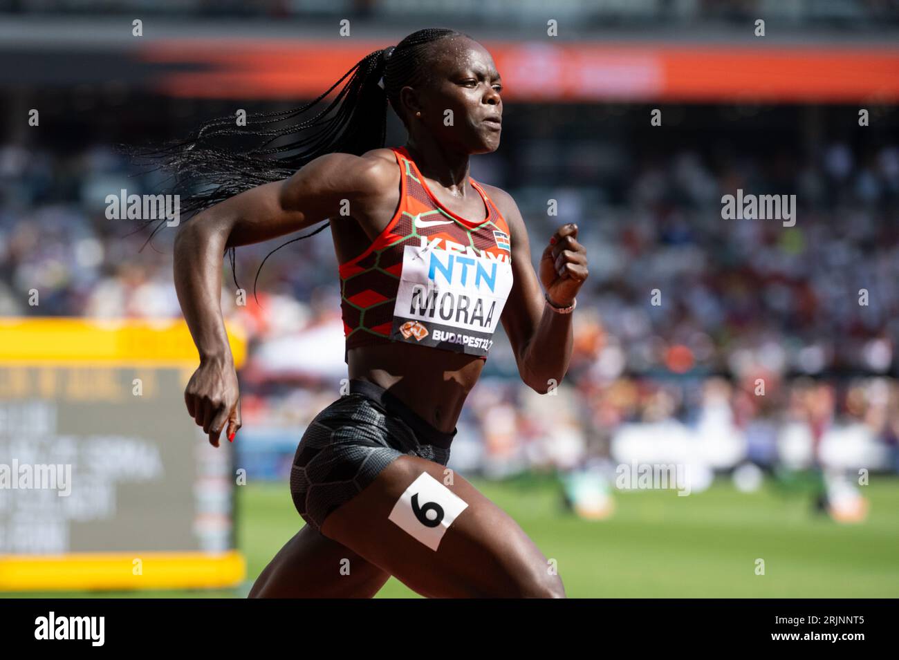 Budapest, Hungary. 23rd Aug, 2023. Athletics: World Championships, 800m ...