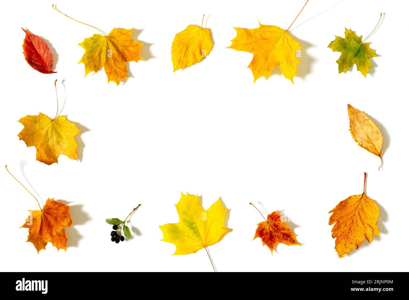 Flat fall leaves invitation design leaves template autumn greeting card ...