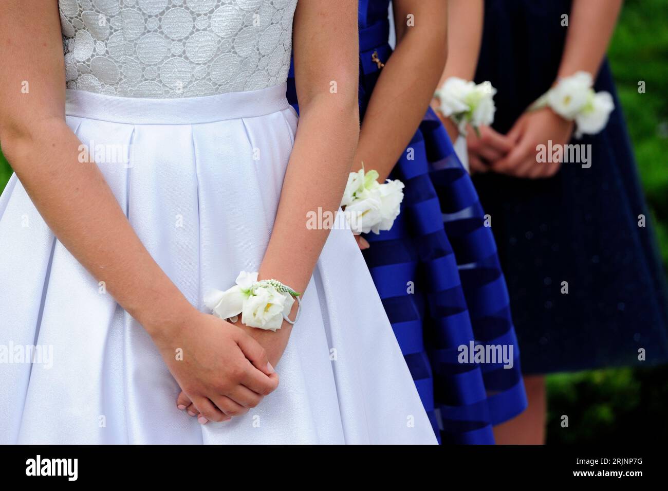 bridge, couple, wedding planning, service, celebration, meeting ...