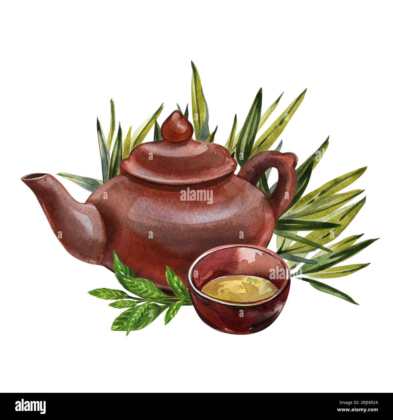 Asian teapot ceramic clay, bowl, tea plant, bamboo branch isolated on ...
