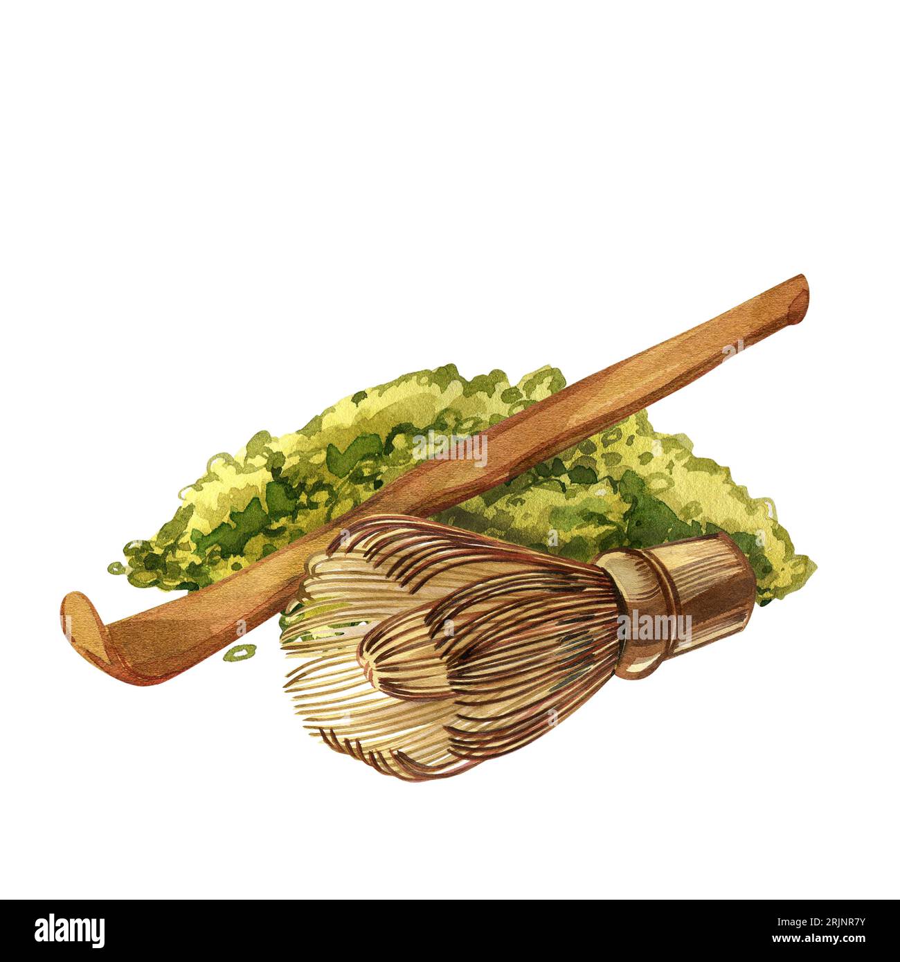 Heap dry matcha tea powder, bamboo spoon and whisk, tea plant branch ...