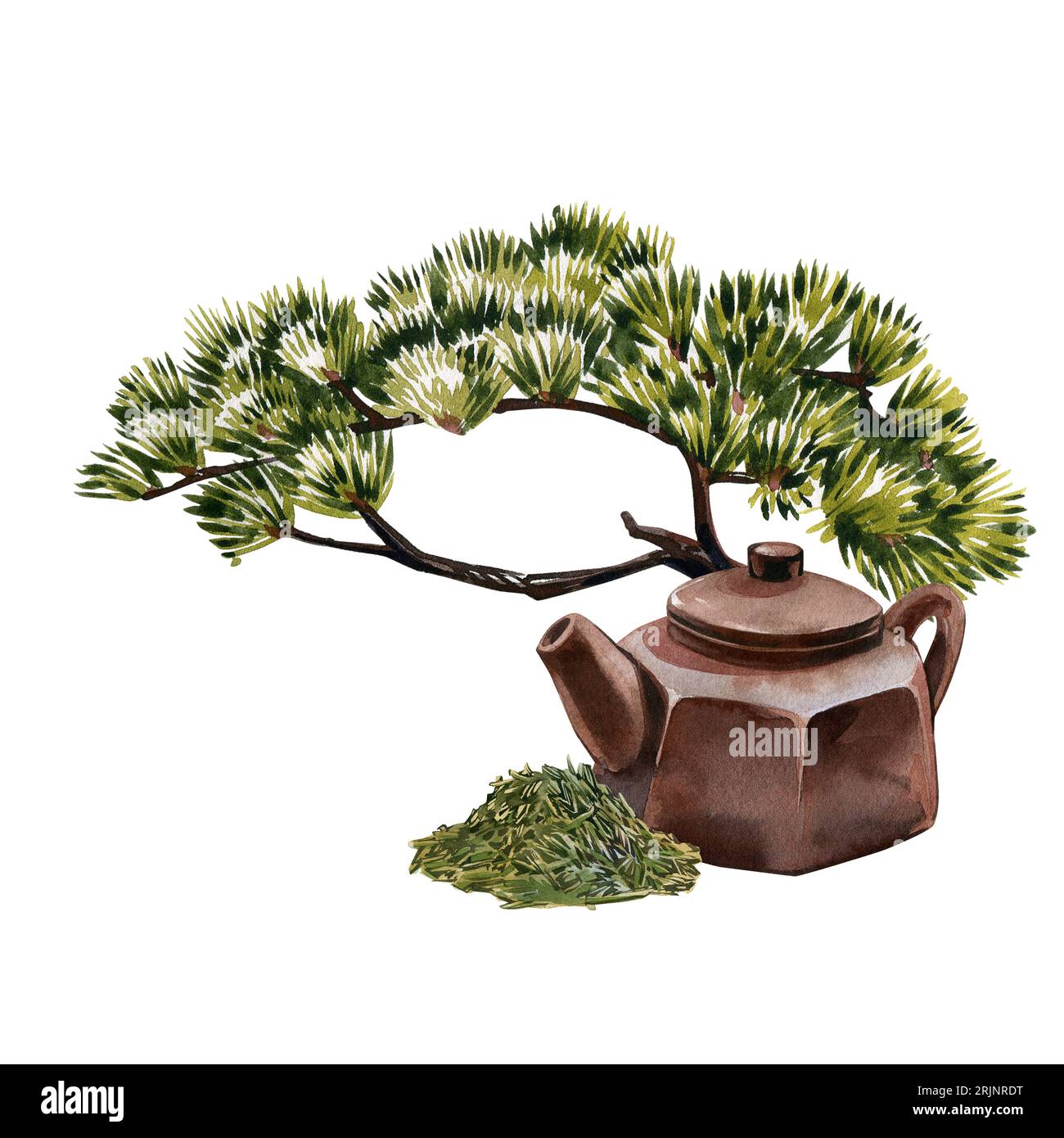 Asian teapot ceramic, heap green dray tea with bonsai tree isolated on ...
