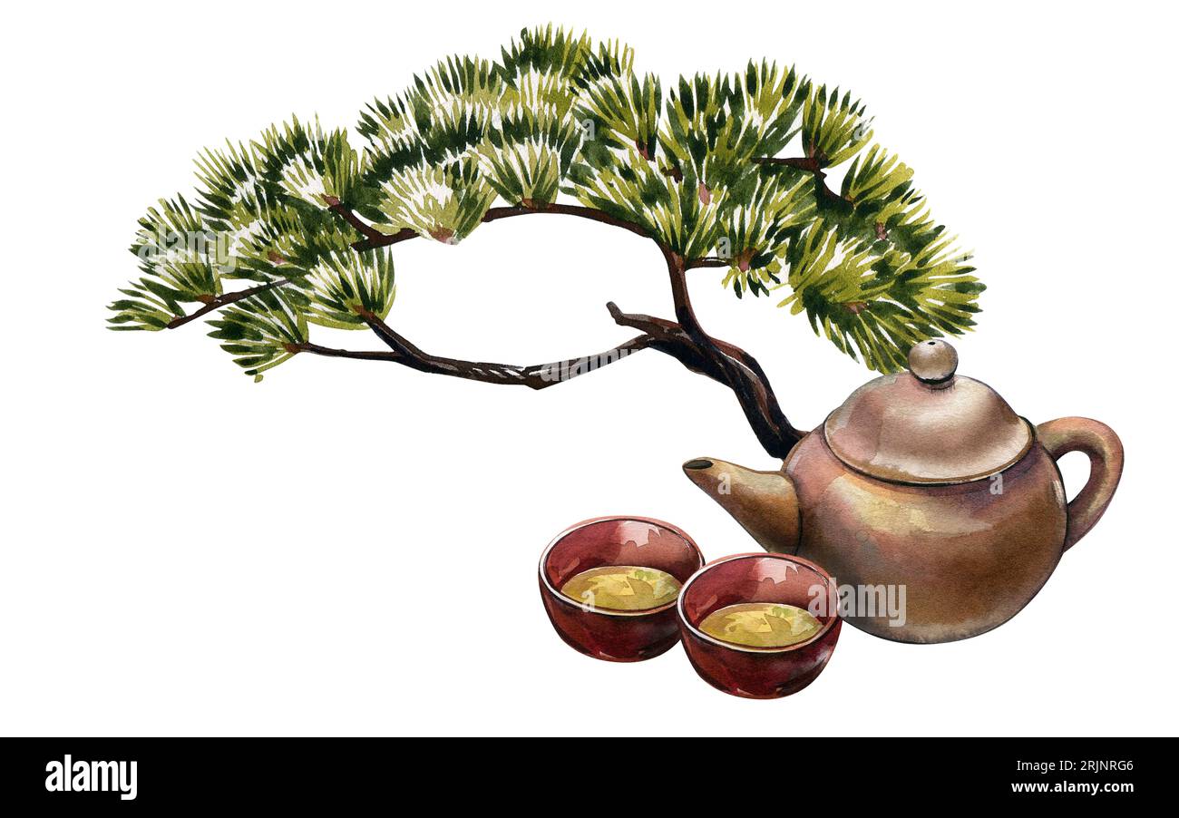 Asian teapot ceramic, brown clay bowl with tea, bonsai tree isolated on ...