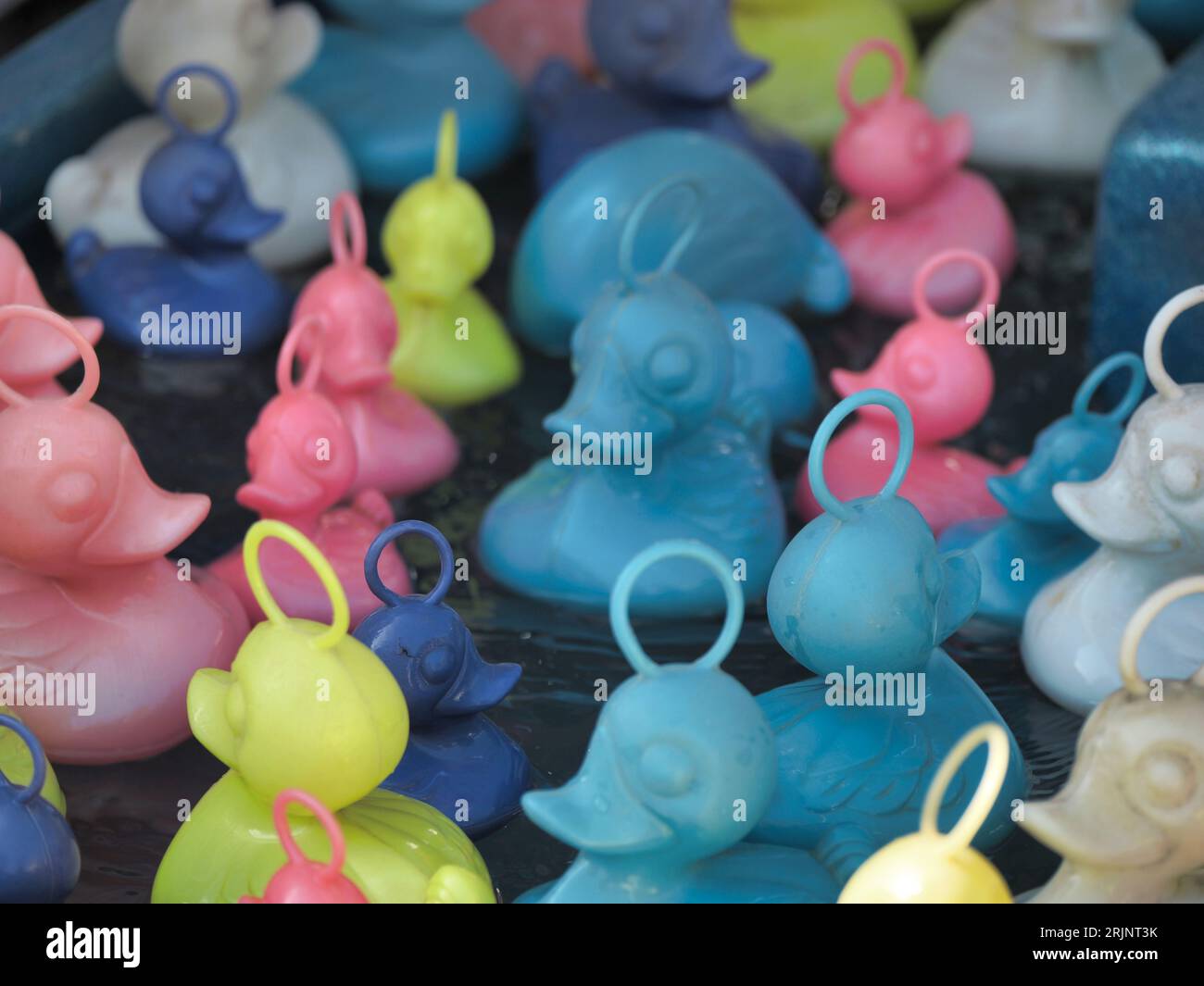 Plastic swimming pool toys hi-res stock photography and images - Alamy