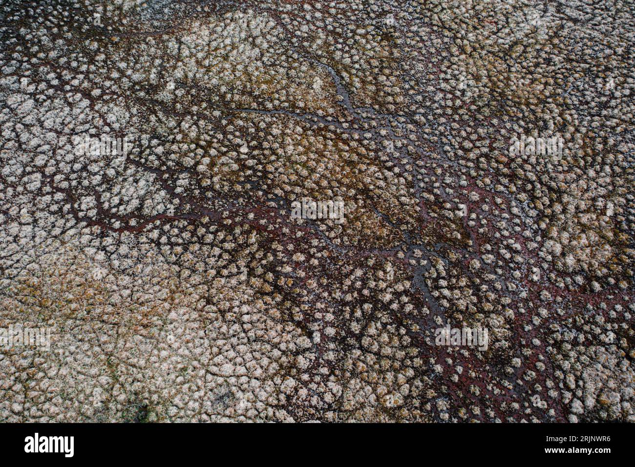 A high-resolution image of a textured rock surface, viewed in close-up ...