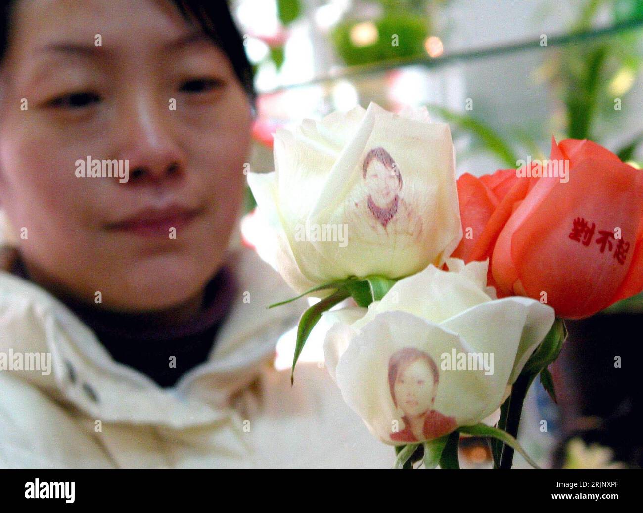 12 rosen hi-res stock photography and images - Alamy