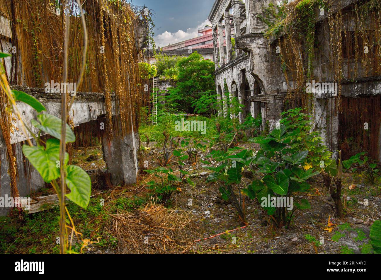 The old aduana (customs) building in the port of Manila. Retaken by ...