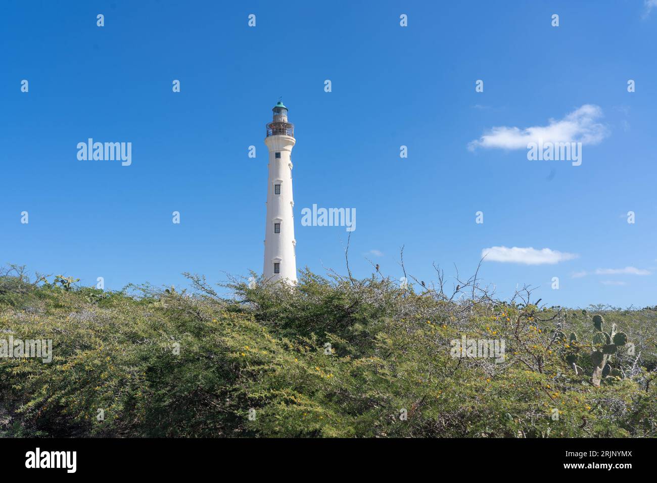 A majestic lighthouse on a hill surrounded by lush greenery Stock Photo ...
