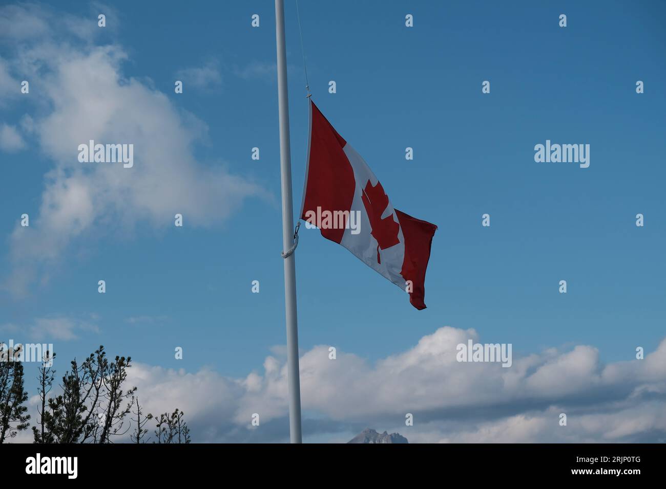 A Canadian flag waving against a bright blue sky Stock Photo - Alamy