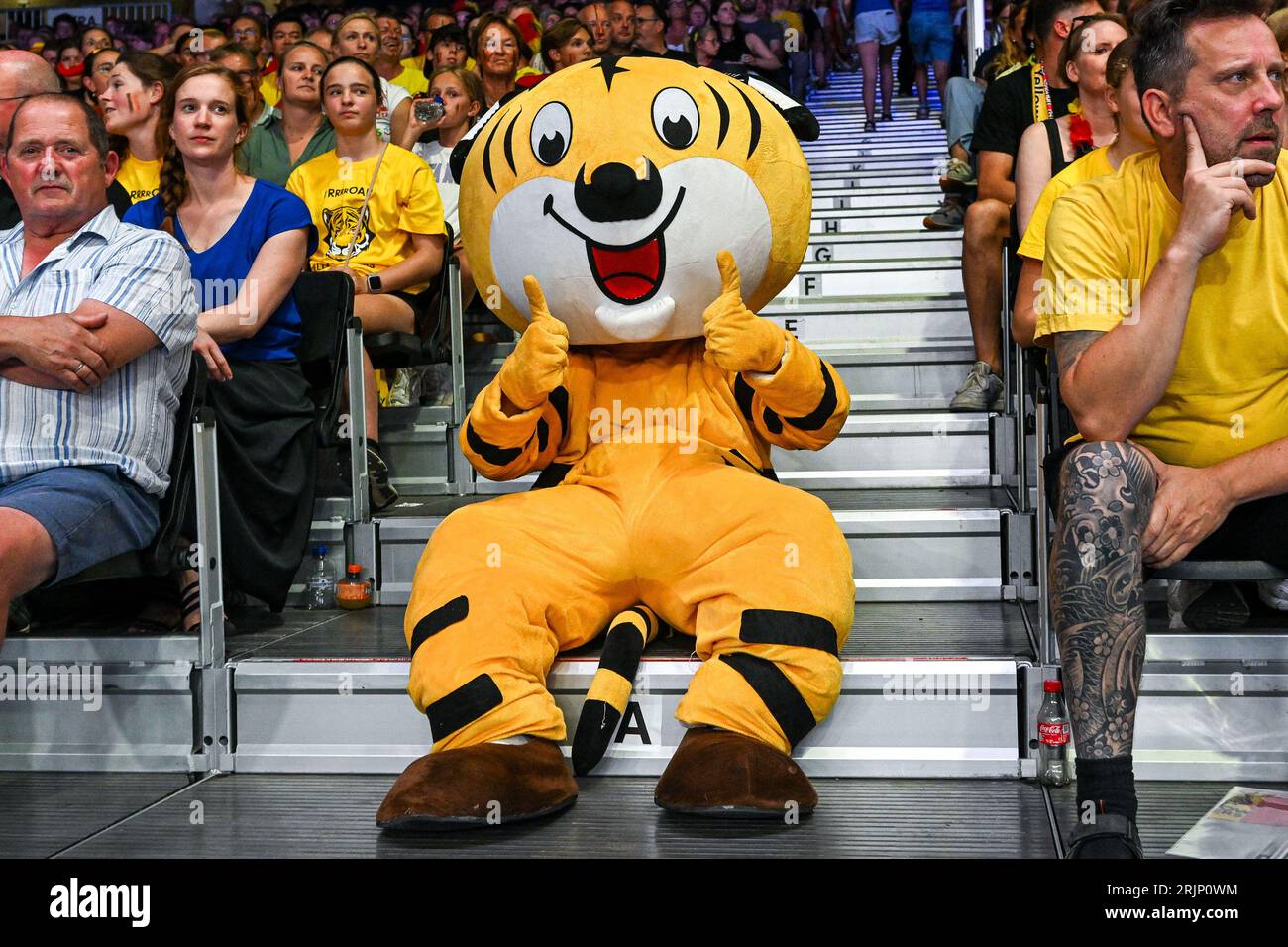 Gent, Belgium. 22nd Aug, 2023. Mascotte Belgian Tigers pictured during ...