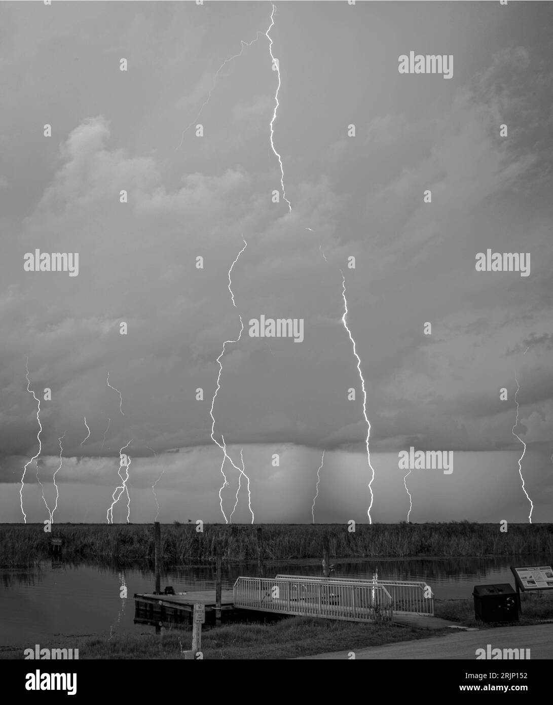 A dynamic grayscale shot of a lightning bolt striking through a dark ...