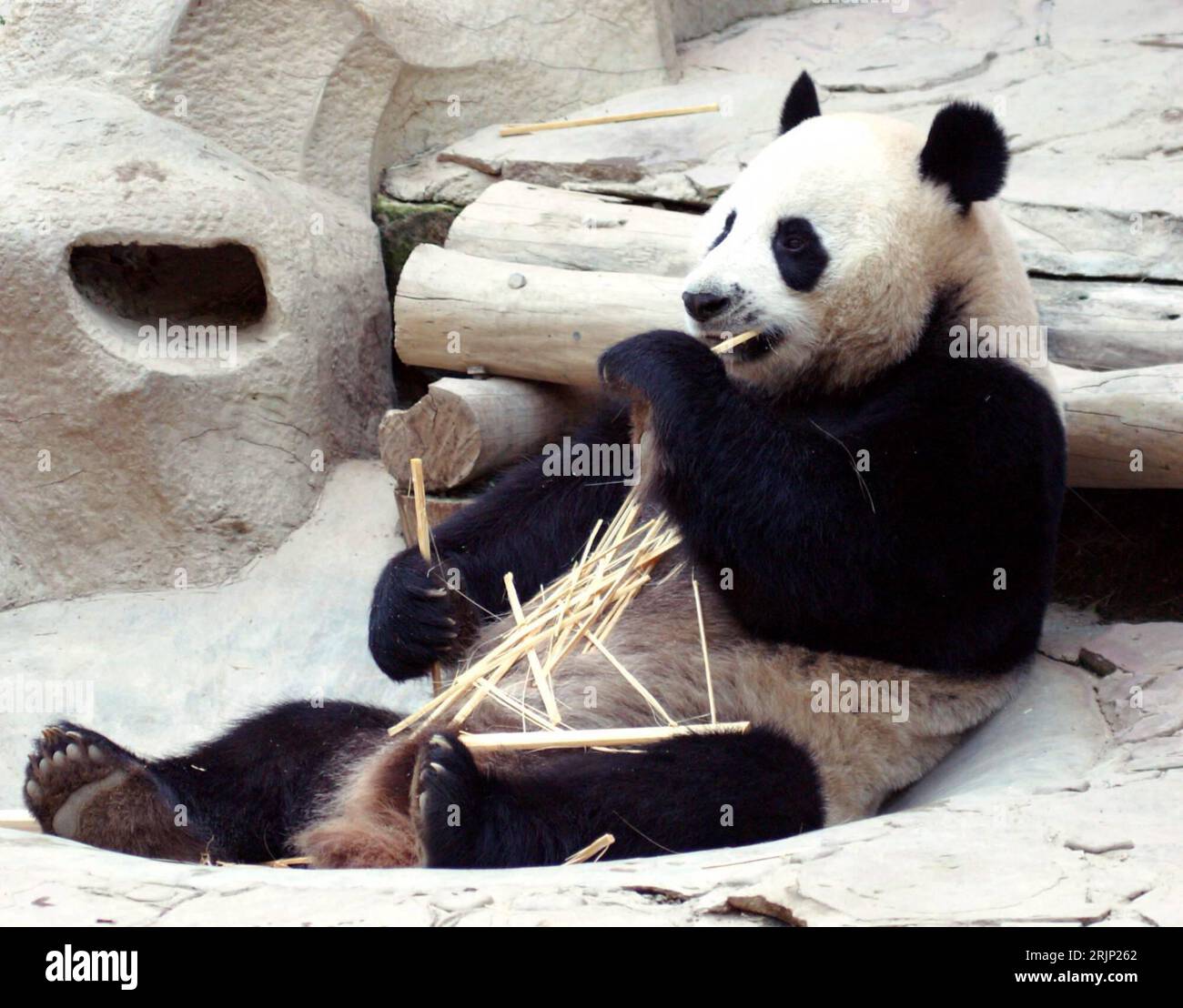 Tierweltenarchiv hi-res stock photography and images - Alamy