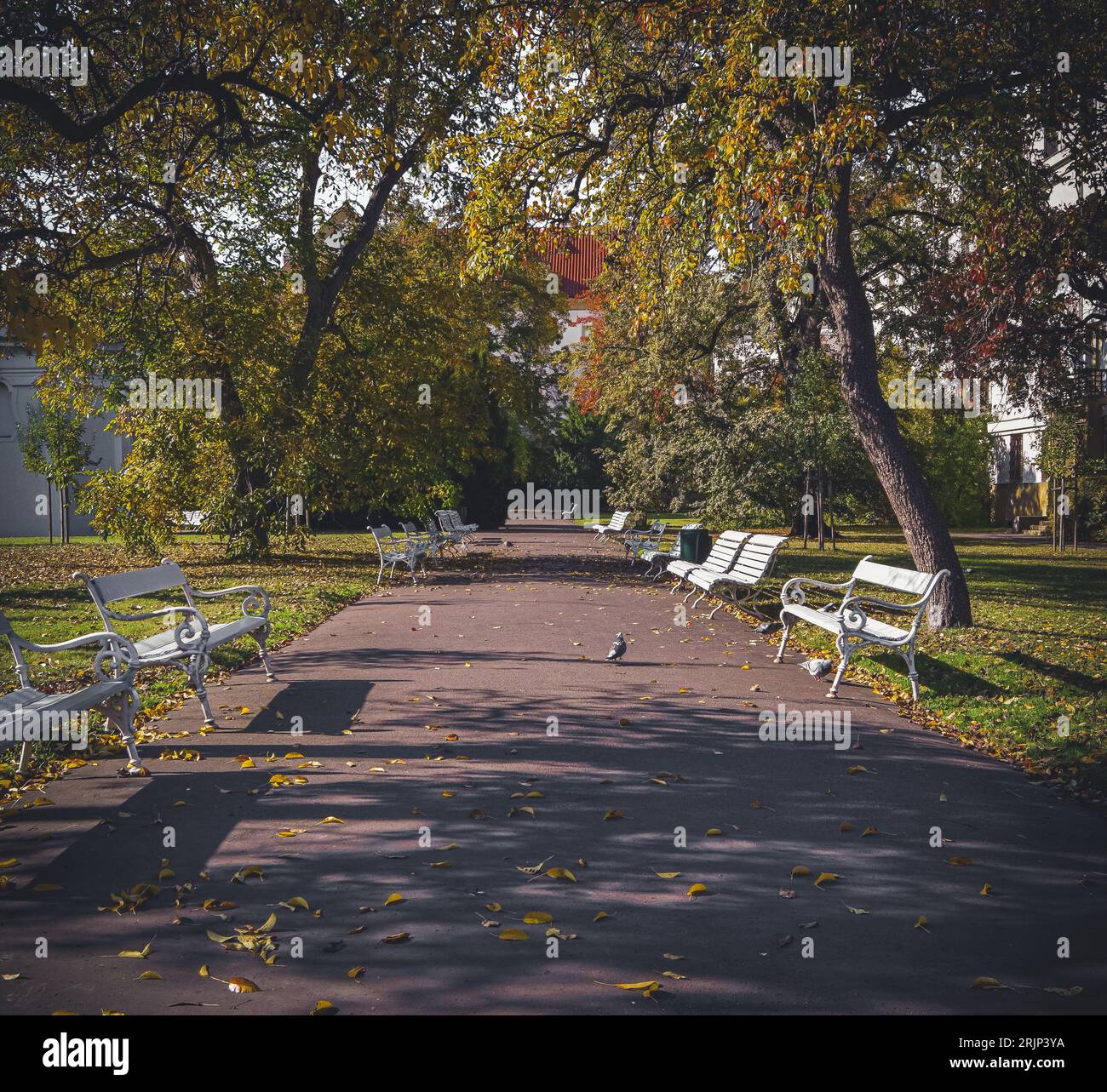 Vojanovy sady park hi-res stock photography and images - Alamy