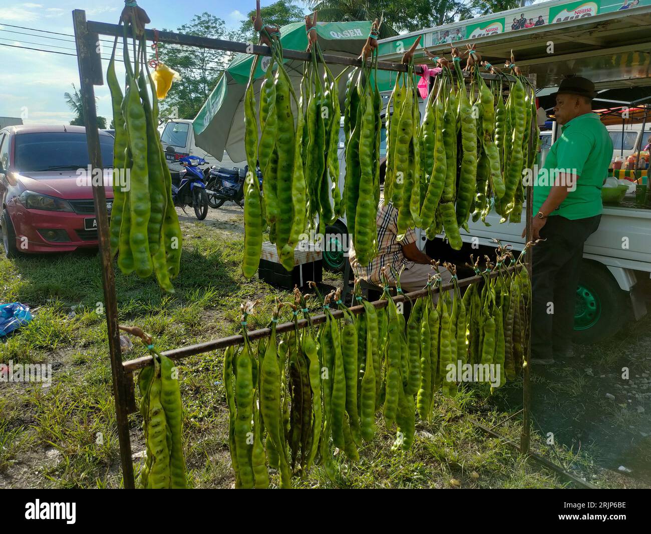 Taiping,Malaysia - August 17 2023: Petai, pete or mlanding (Parkia ...