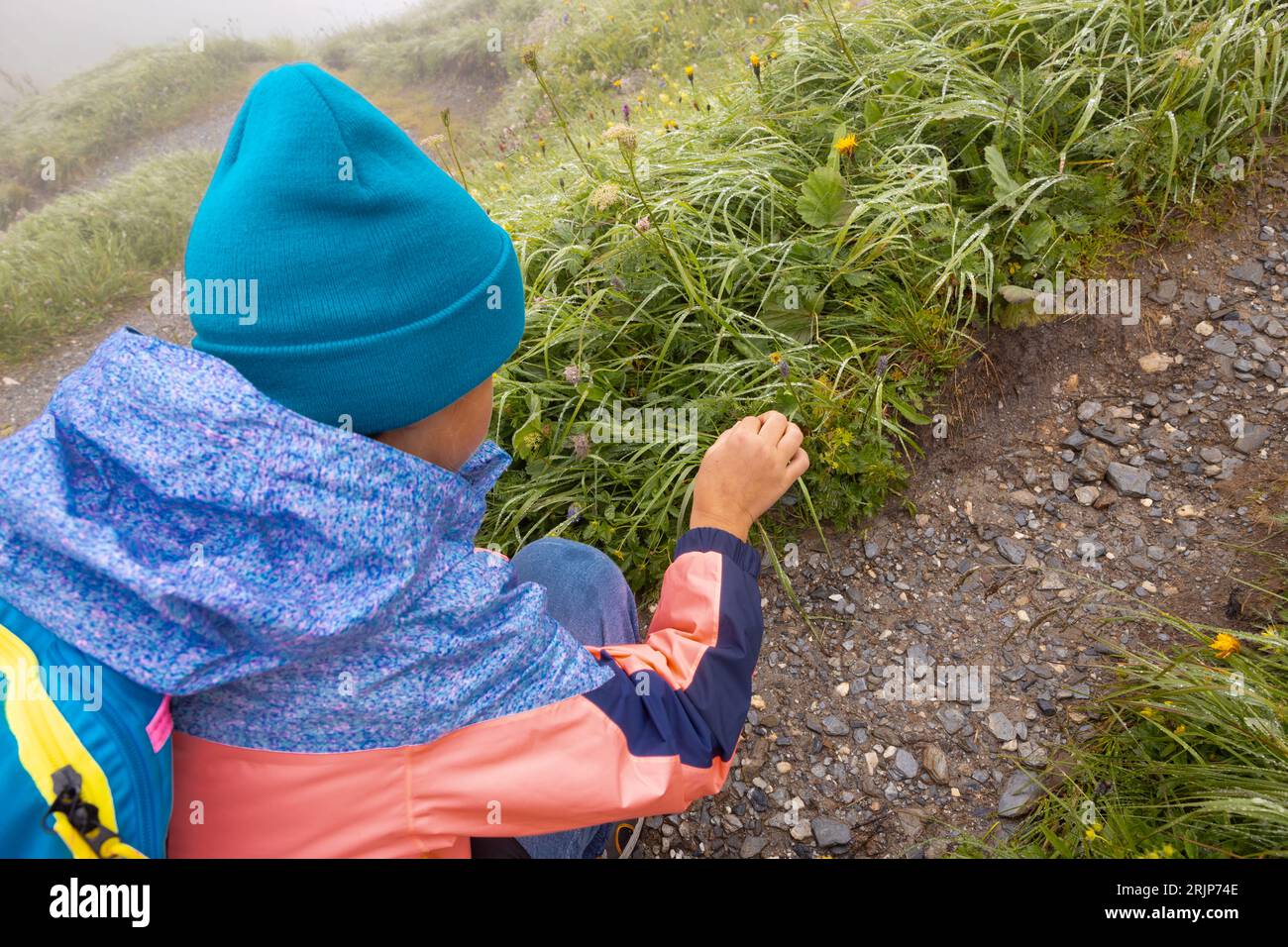 A girl in bright clothes looks at plants on a mountain path Stock Photo ...
