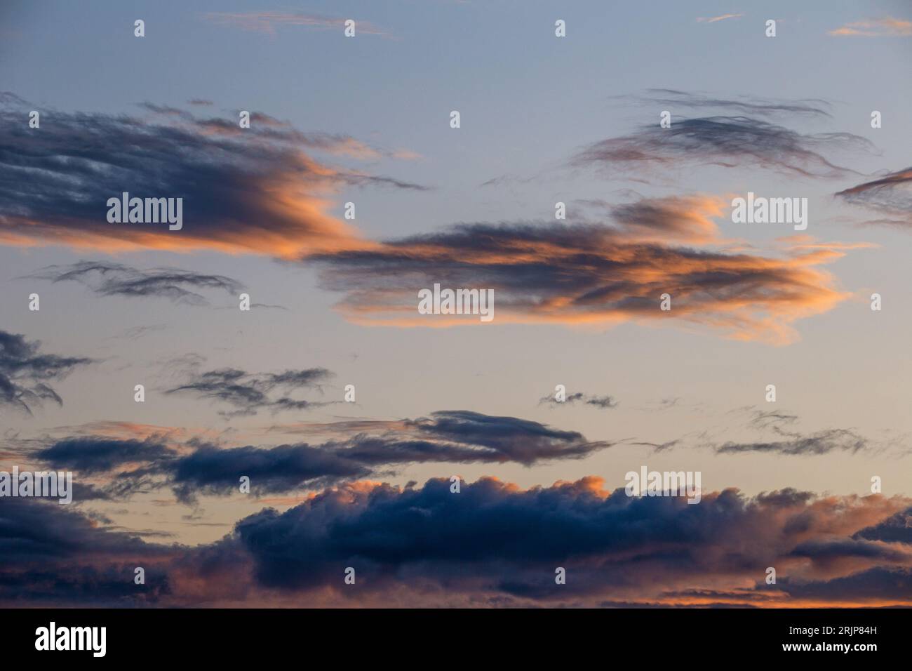 Sky with clouds colored by sunrise. The sky as a background for ...