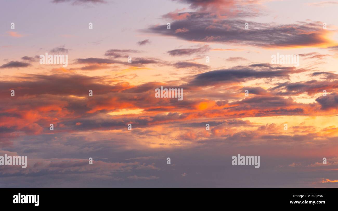 Sky with clouds colored by sunrise. The sky as a background for ...