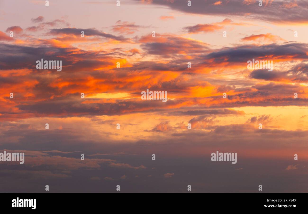 Sky with clouds colored by sunrise. The sky as a background for ...