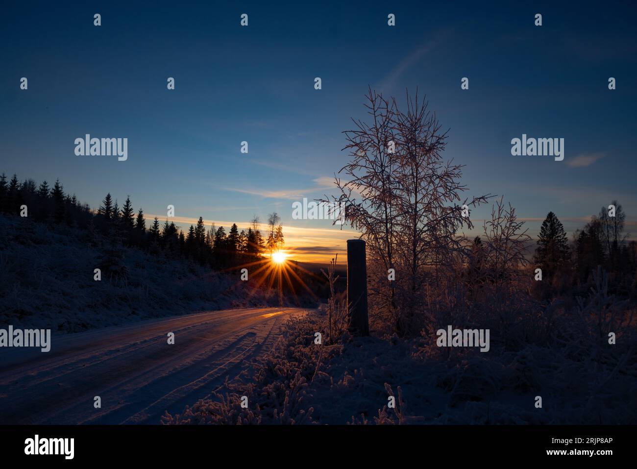 Peaceful scenery sun rising above hi-res stock photography and images ...
