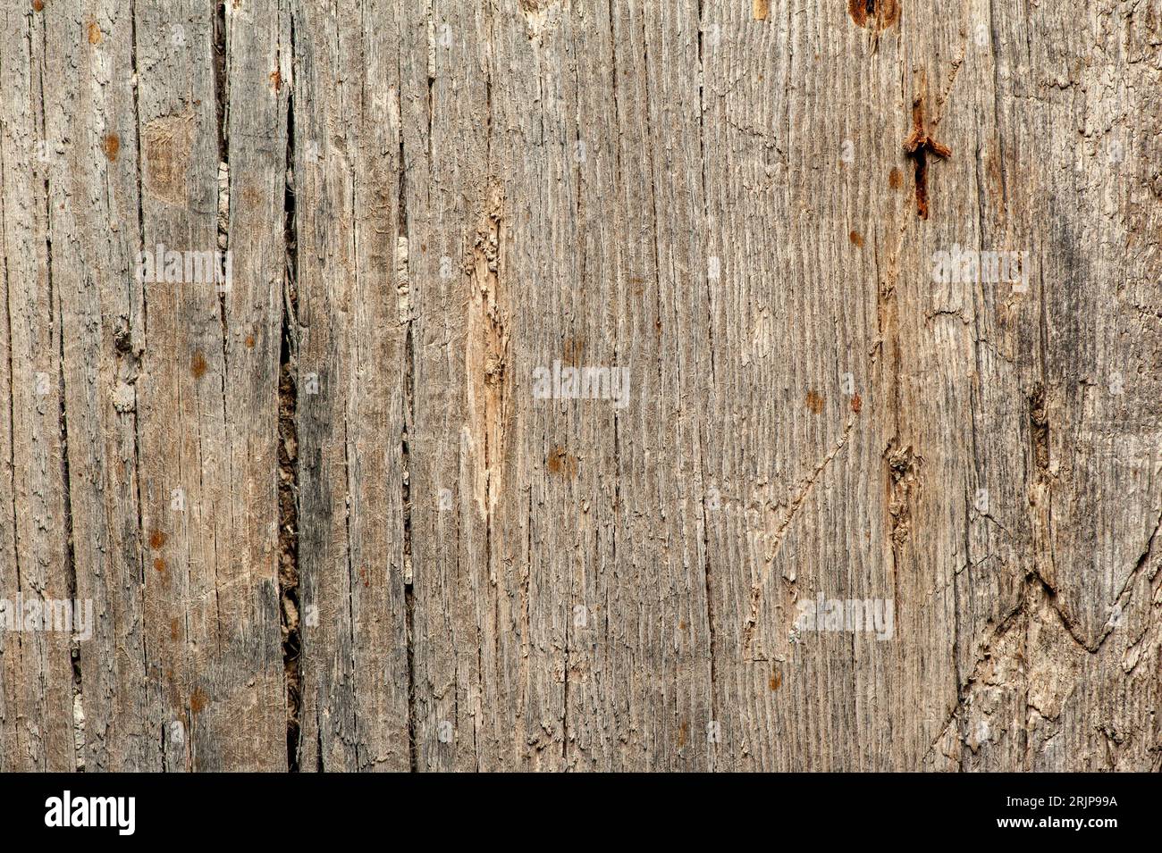 A worn, wooden surface with rust spots Stock Photo - Alamy