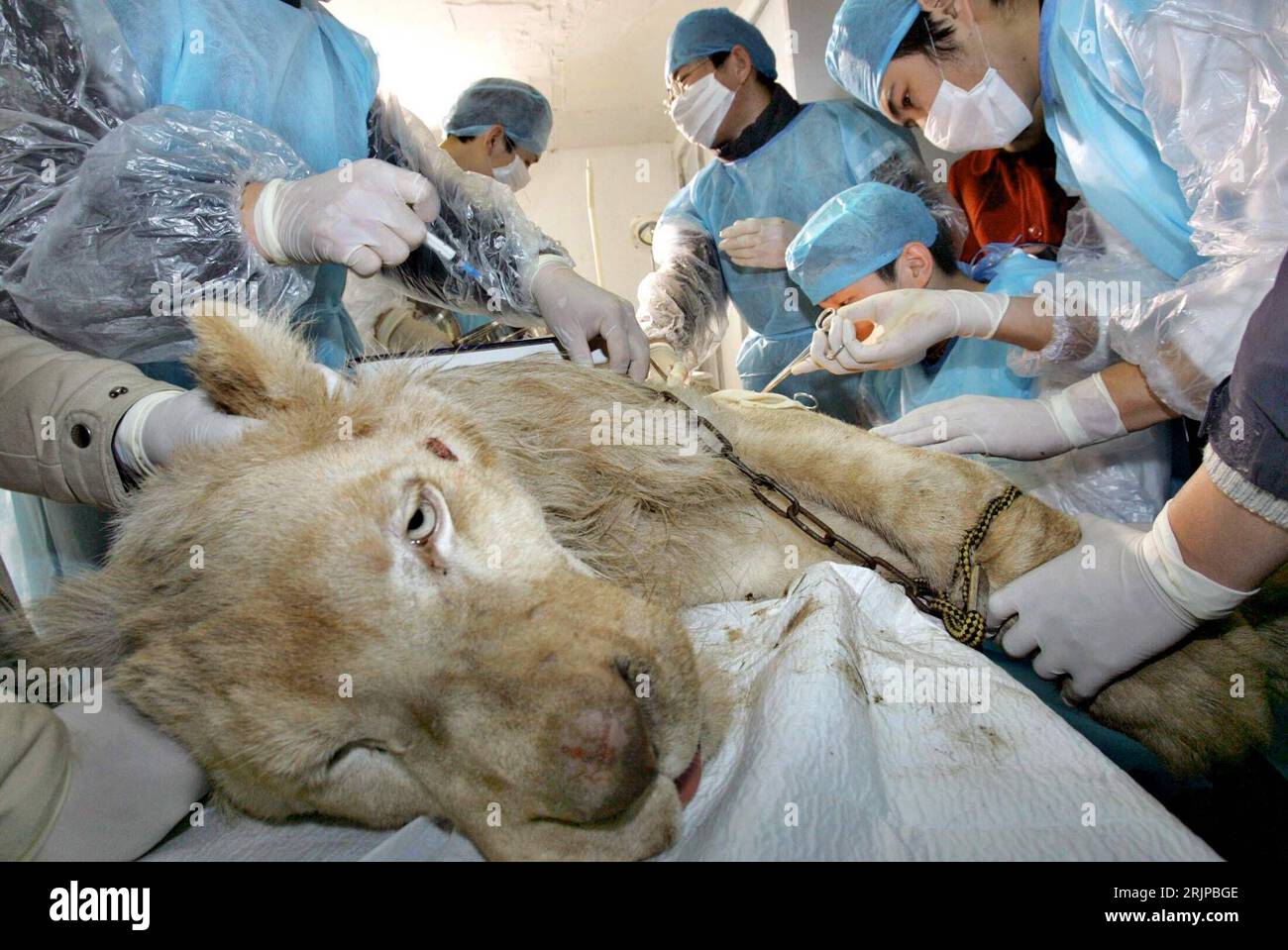 ärzte operation hi-res stock photography and images - Alamy