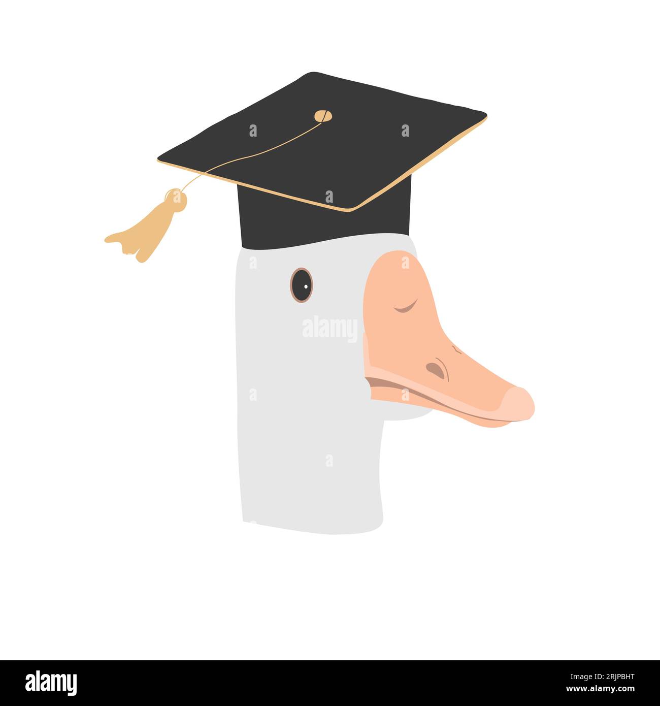 Cute graduate goose character. Geese head in graduation hat. Vector ...