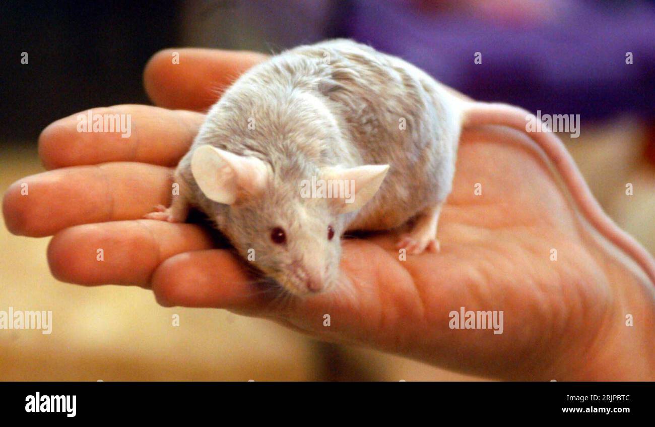 Hände auf weiß hi-res stock photography and images - Alamy