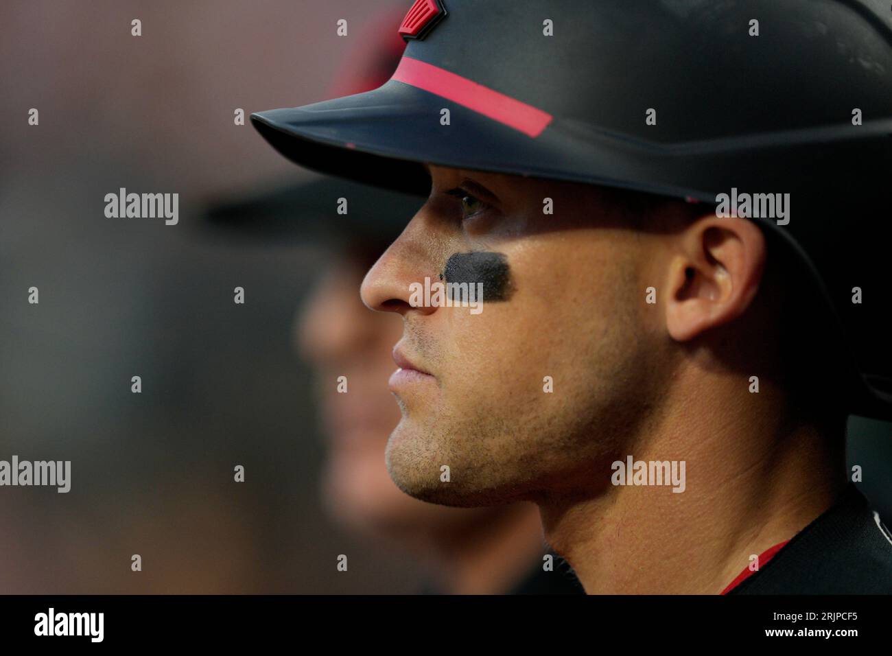 Cincinnati Reds' TJ Friedl stands in the dugout during a baseball game ...