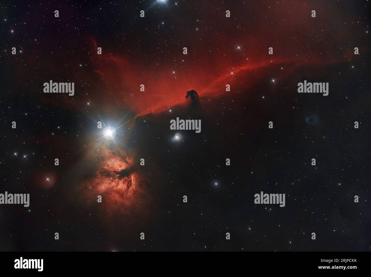 A stunning view of the Horsehead Nebula in a night sky Stock Photo - Alamy