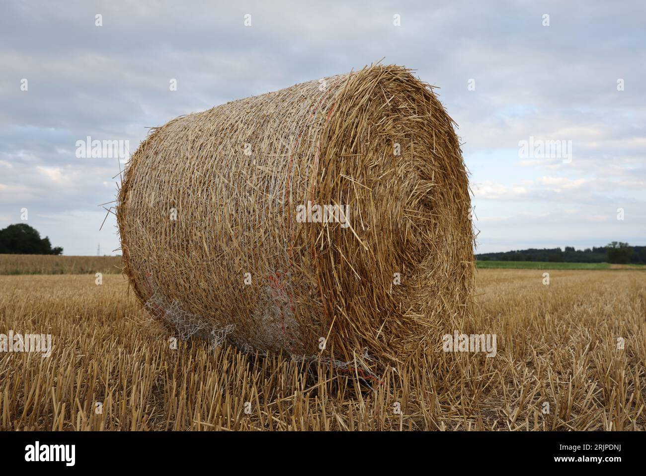 Round large hi-res stock photography and images - Alamy