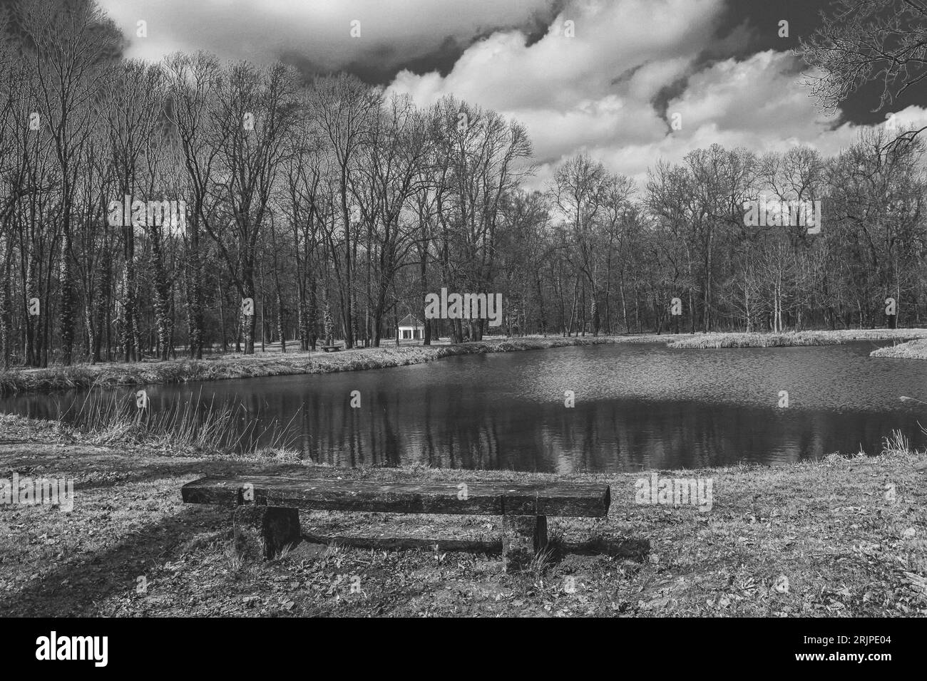 Milotice castle's park, Black and white 2, Czech Republic Stock Photo ...