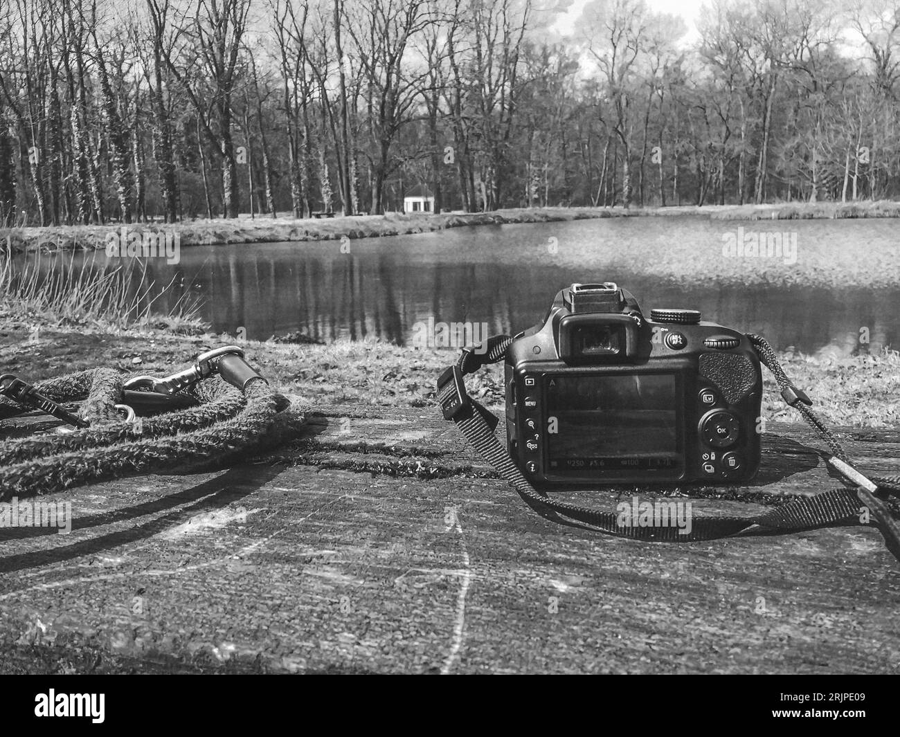 Milotice castle's park, Black and white 6 Stock Photo - Alamy
