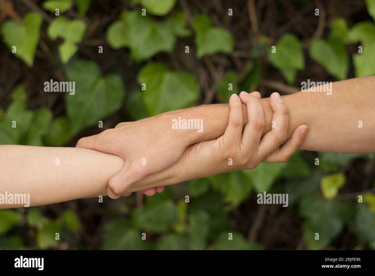 photography of two hands holding each other Stock Photo - Alamy