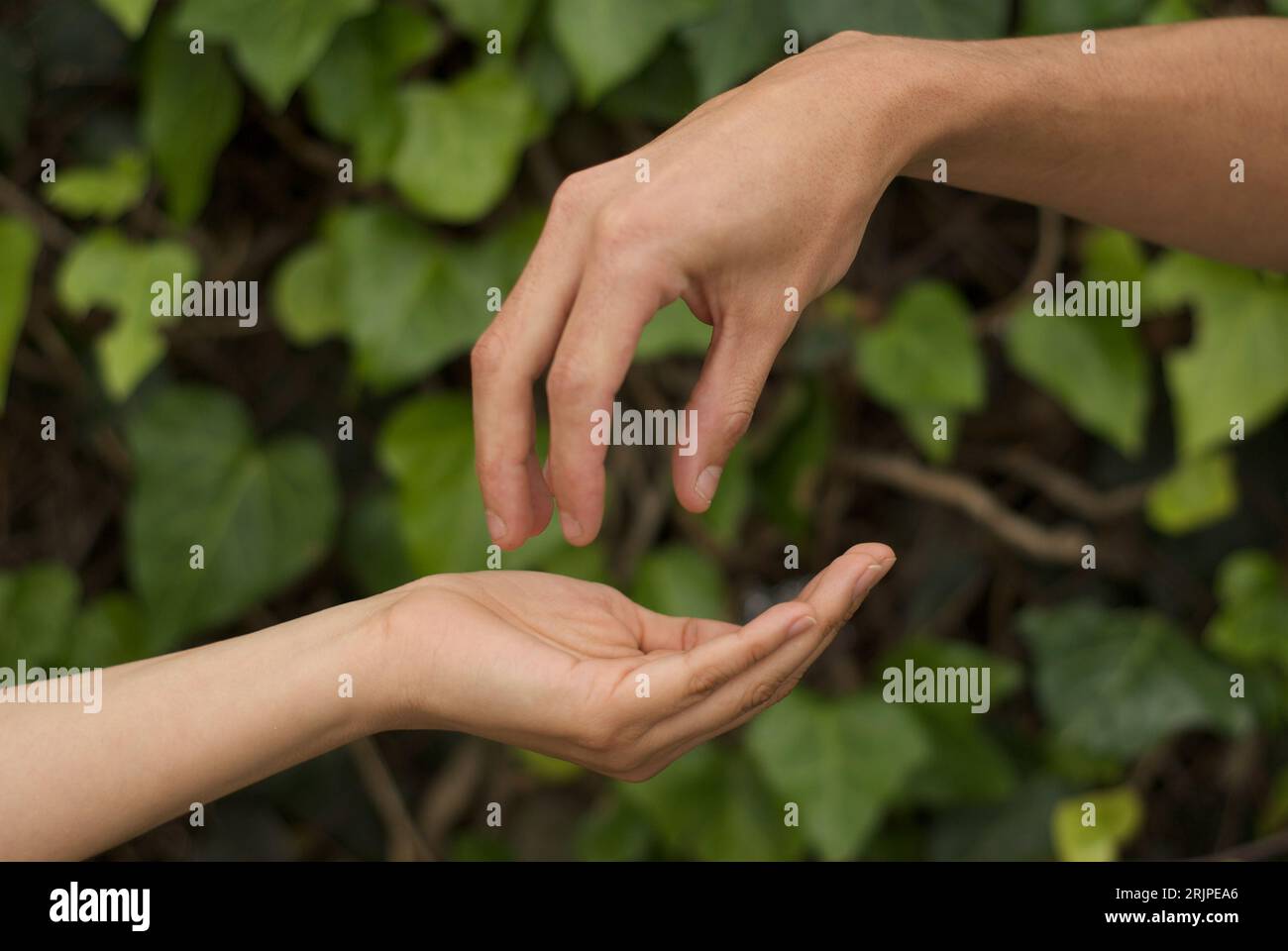 Photography of a hand giving something to other with bottom of green ...