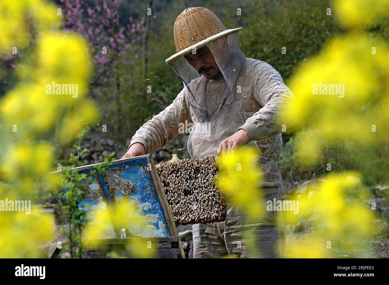 Bildnummer: 51166526 Datum: 24.03.2006 Copyright: imago/Xinhua Imker ...