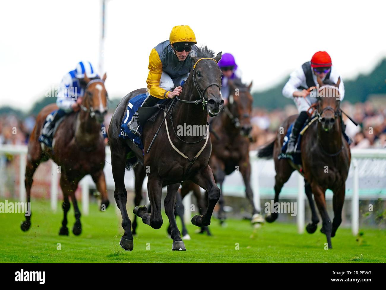 Indian run horse racing hi-res stock photography and images - Alamy