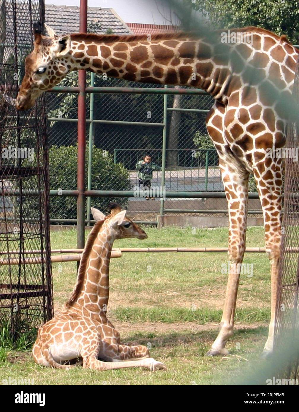 Bildnummer: 51174822 Datum: 30.03.2006 Copyright: imago/Xinhua ...