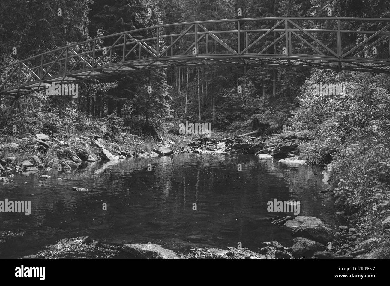 Sumava national park , river, Black and White Stock Photo - Alamy