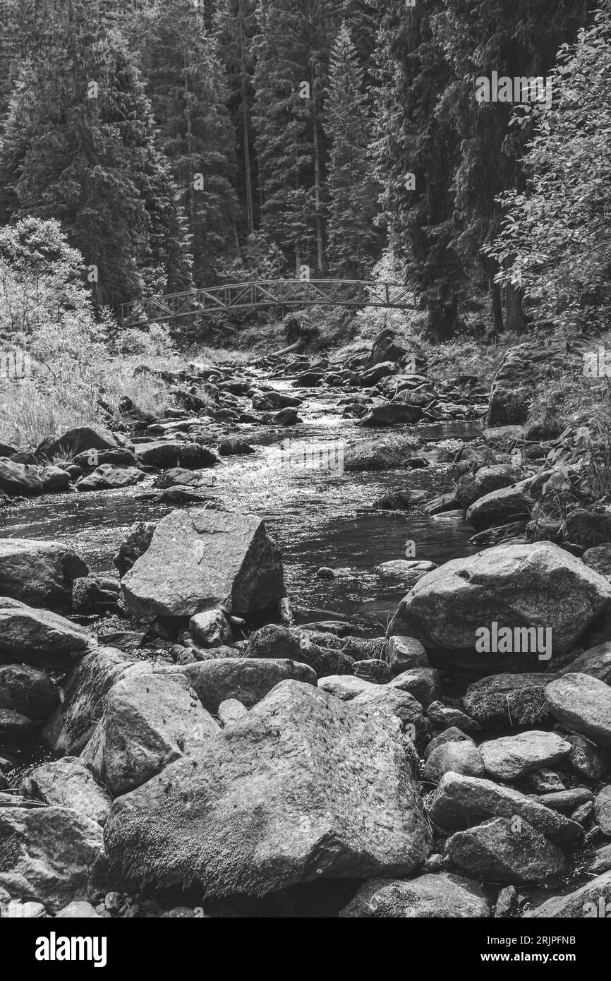 Sumava national park, river, Black and White Stock Photo - Alamy
