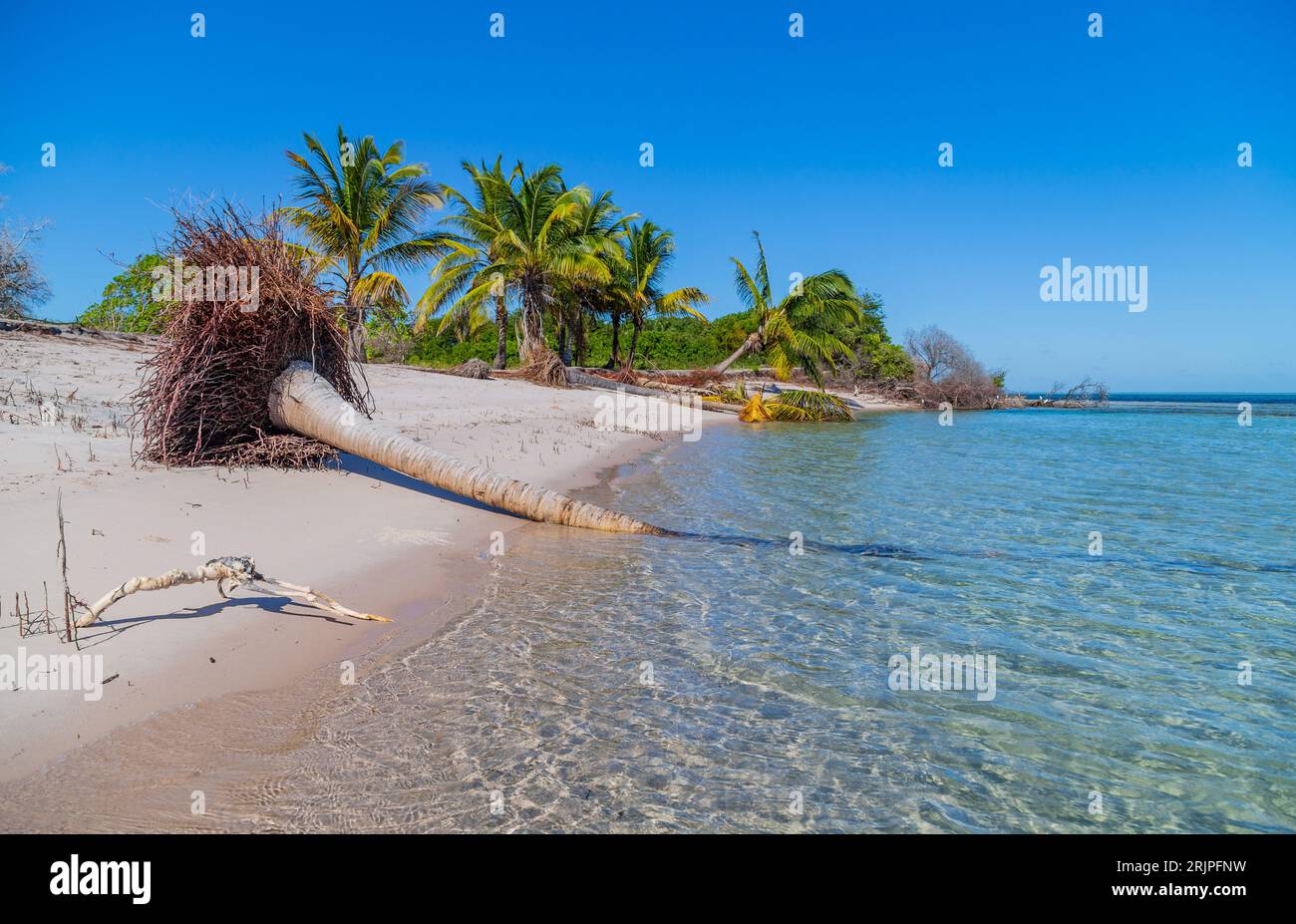 Pristine beach in Inhaca Island outside Maputo, Mozambique Stock Photo ...
