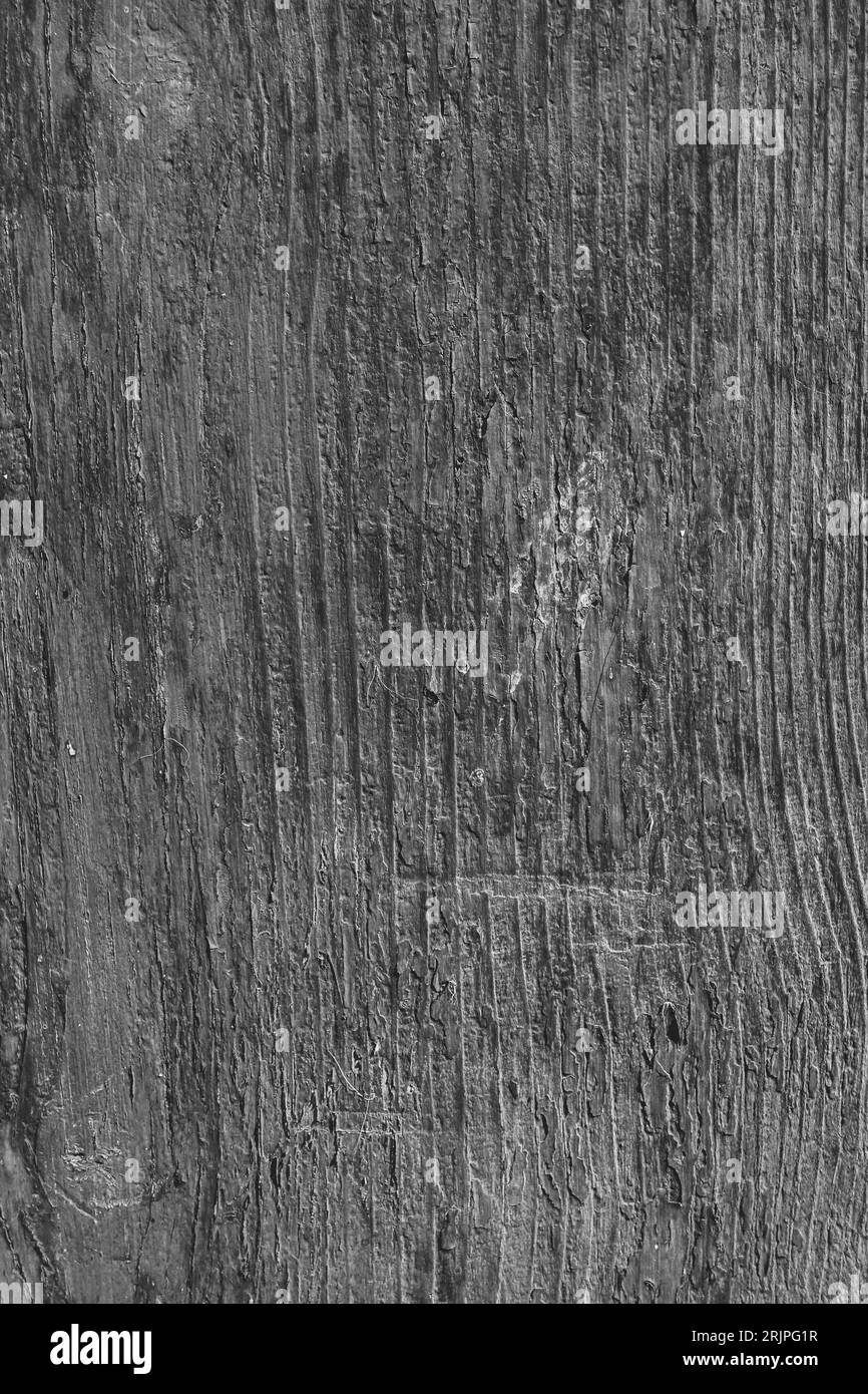 Texture of old wood door from mill, Black and White Stock Photo - Alamy