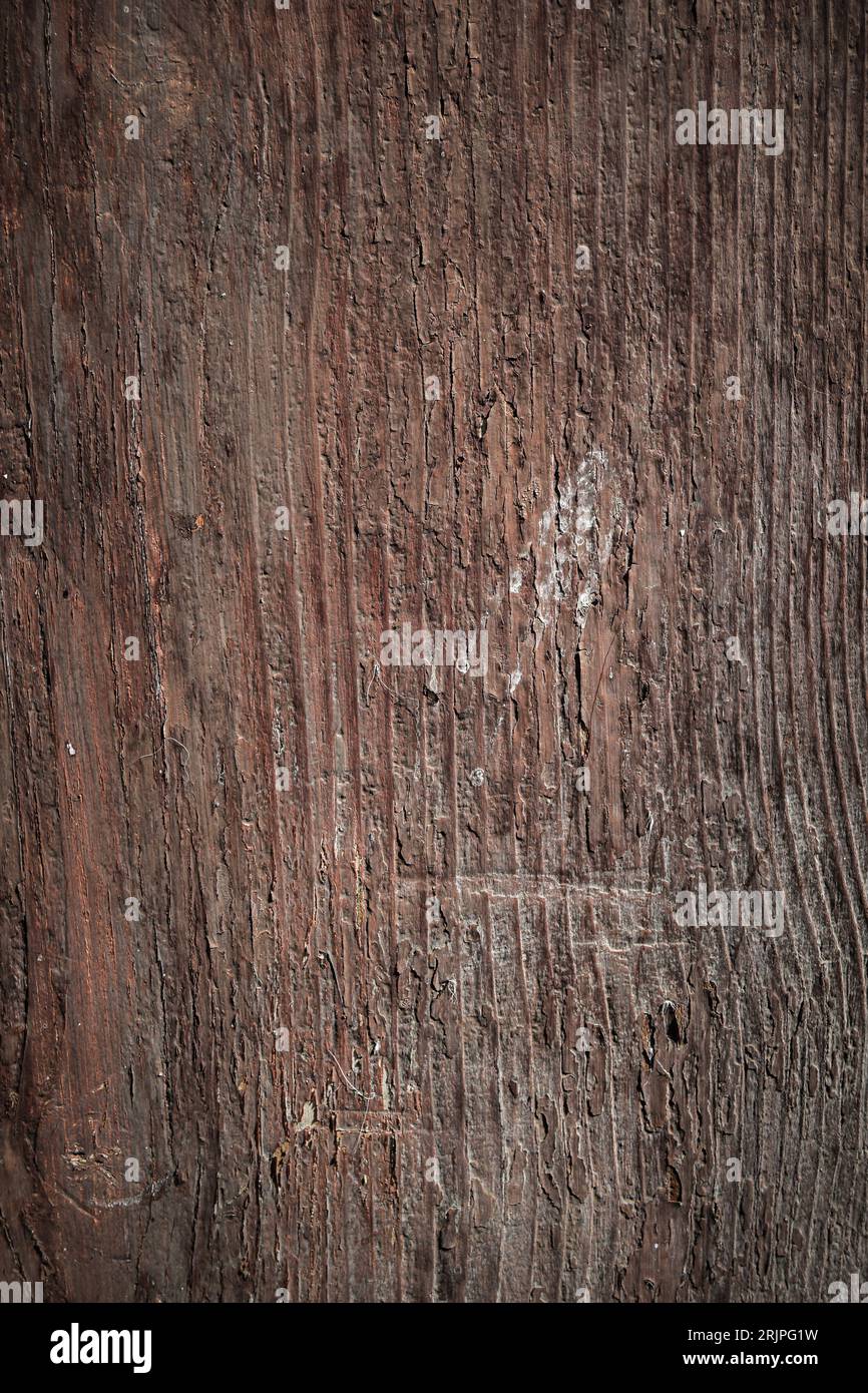 Texture of old wood door from mill Stock Photo - Alamy