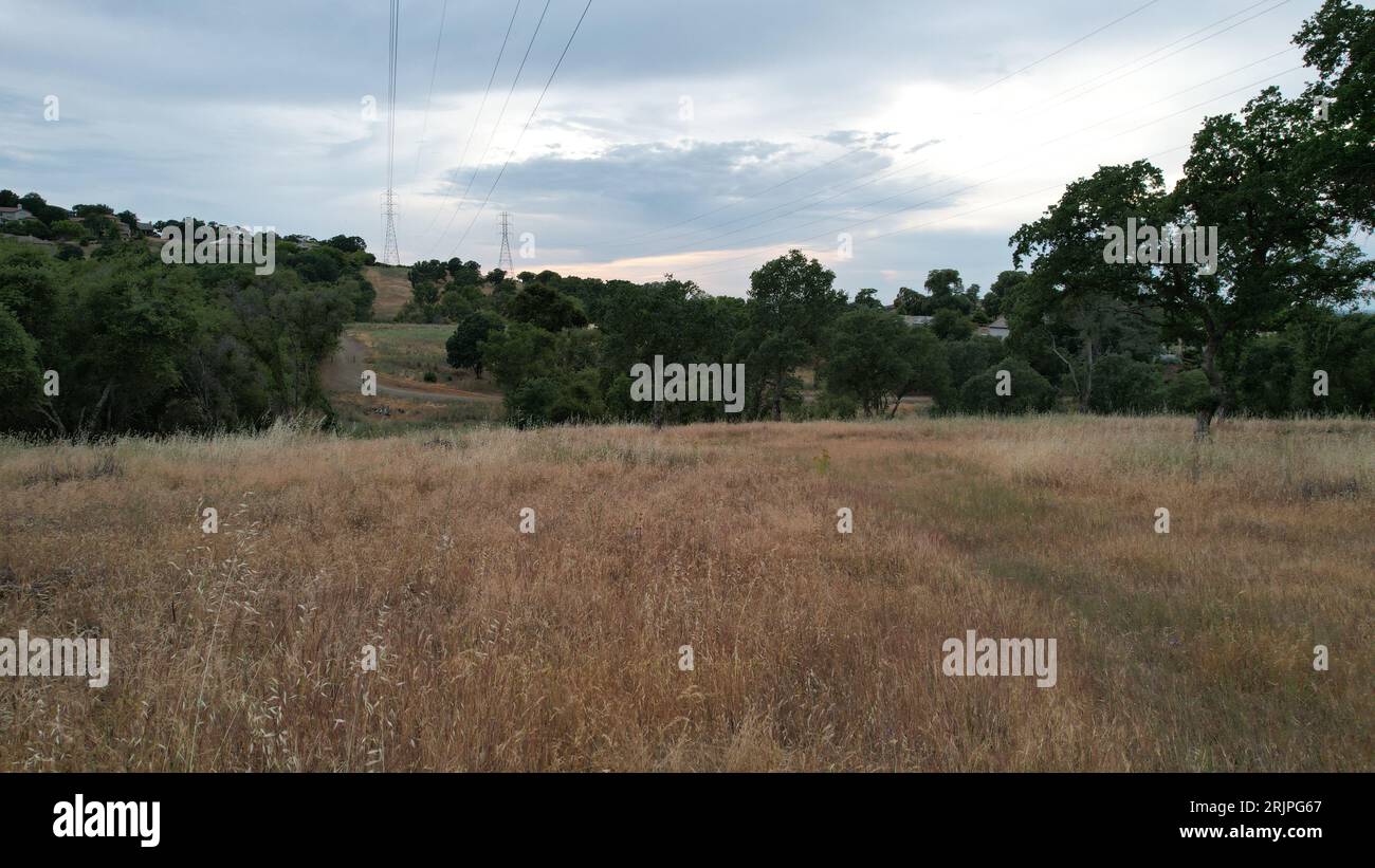 A scenic agricultural landscape with an expansive field of tall, tawny ...