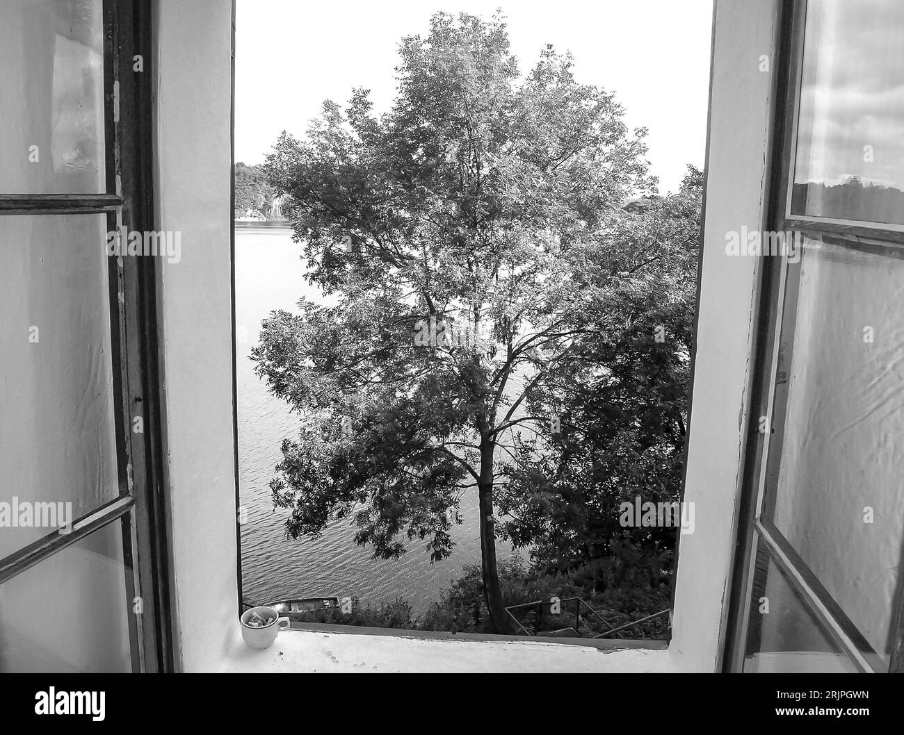 Sunny tree window view from Black and White Stock Photos & Images - Alamy