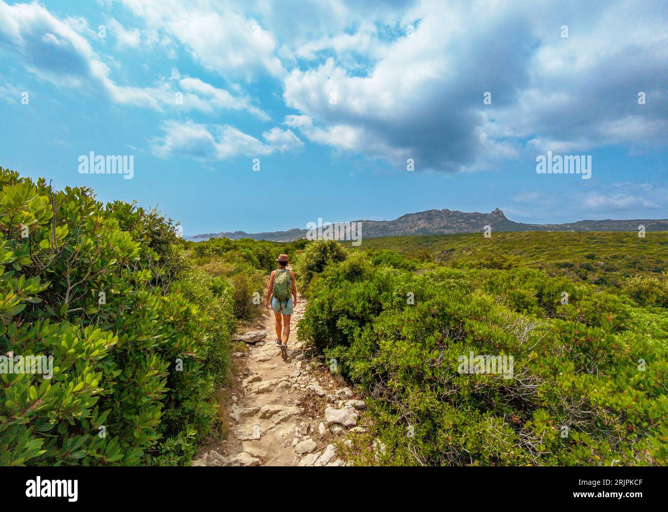 Bonifacio (Corse, France) - Corsica is a big french island in ...